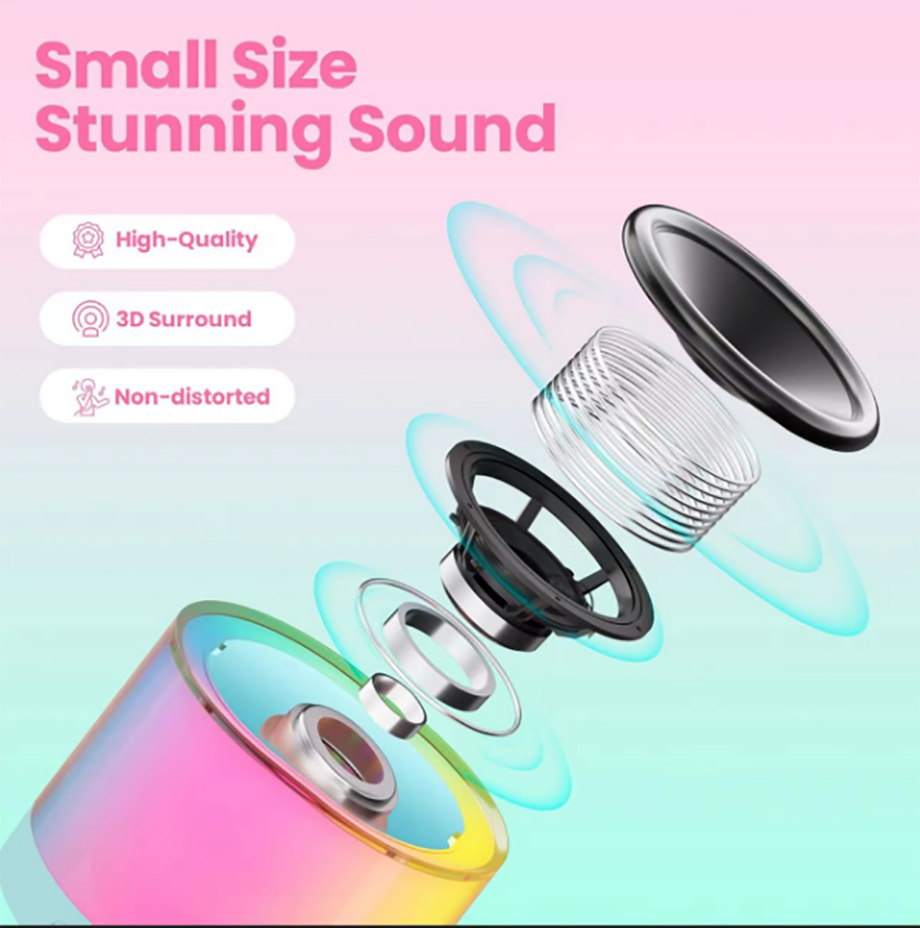 Kids Karaoke Machine With 2 Microphones Portable Bluetooth Speaker ...