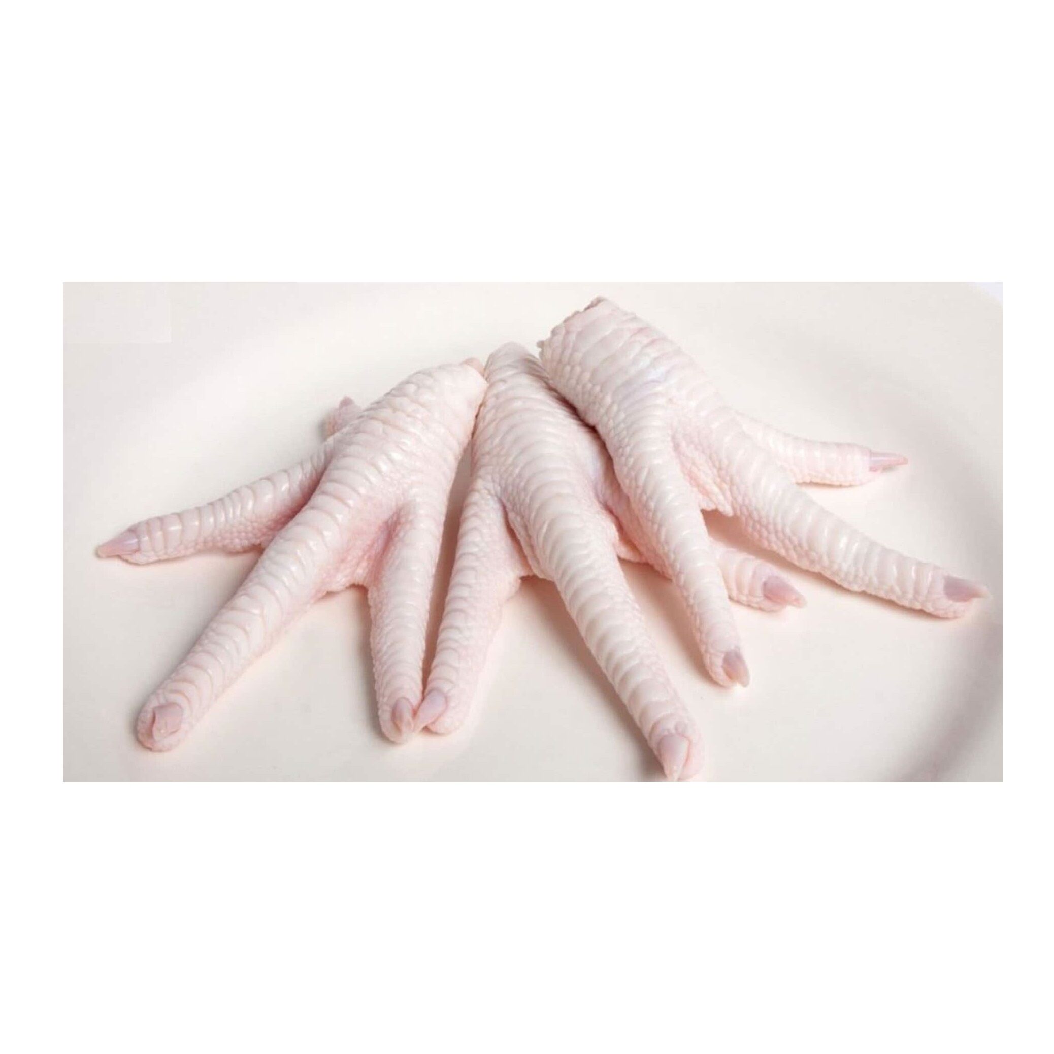 Bulk Buy South Africa Wholesale Buy Quality Brazil Frozen Chicken Paws ...