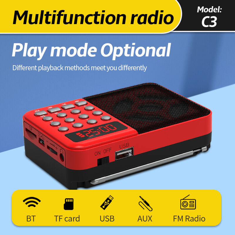 Portable Fm Radio With Bluetooth 5.0 Speaker, Rechargeable ...