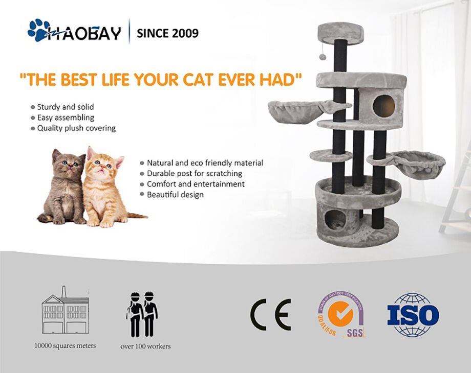 Collapsible Square Cat Scratching Barrel Cat Condo For Big Cats, Cat ...