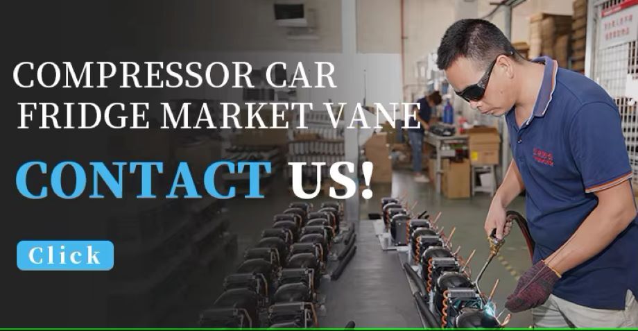 Odm 20l Single Temperature Control -20+10 Degree Transporting Mini ...