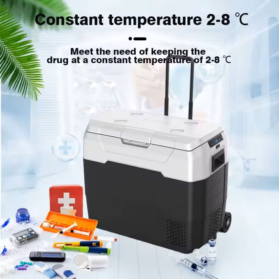 Wholesale 50l Ac 100v~240v Outdoor Multifunctional Portable Small Car ...