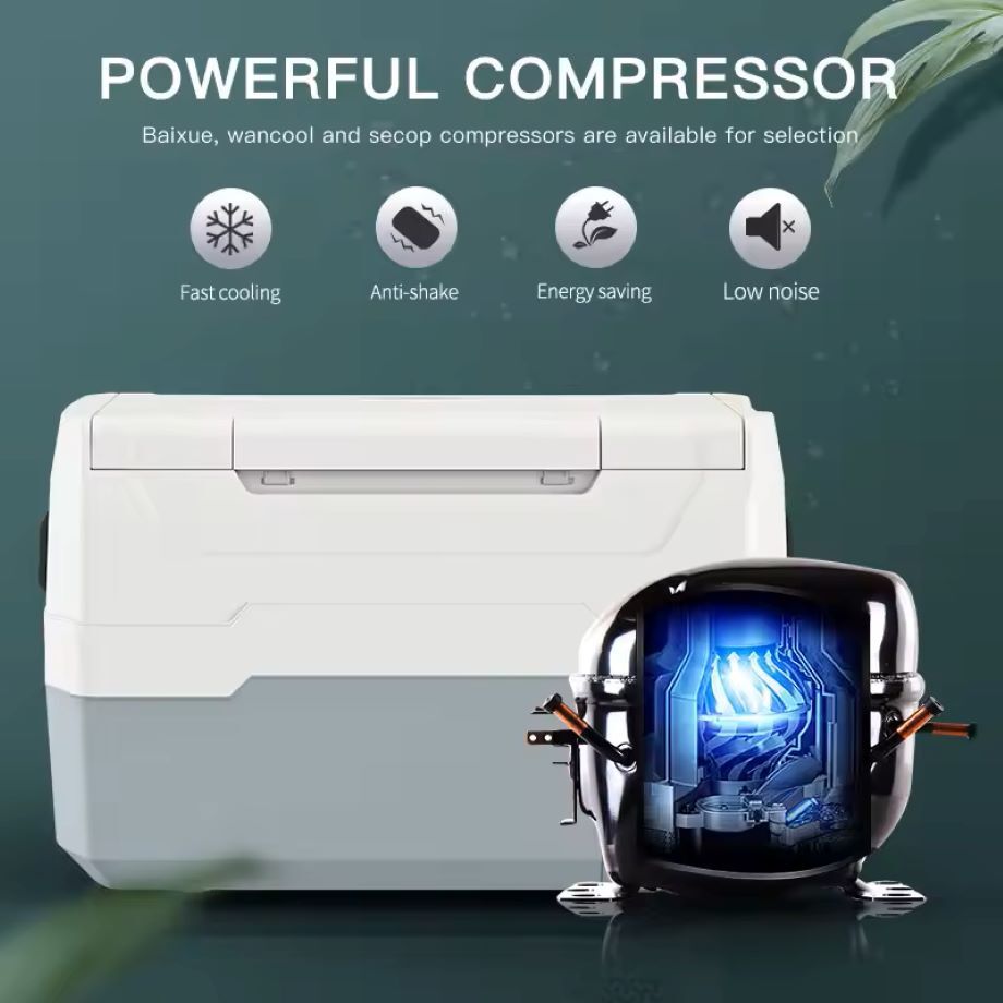 Odm 20l Single Temperature Control -20+10 Degree Transporting Mini ...