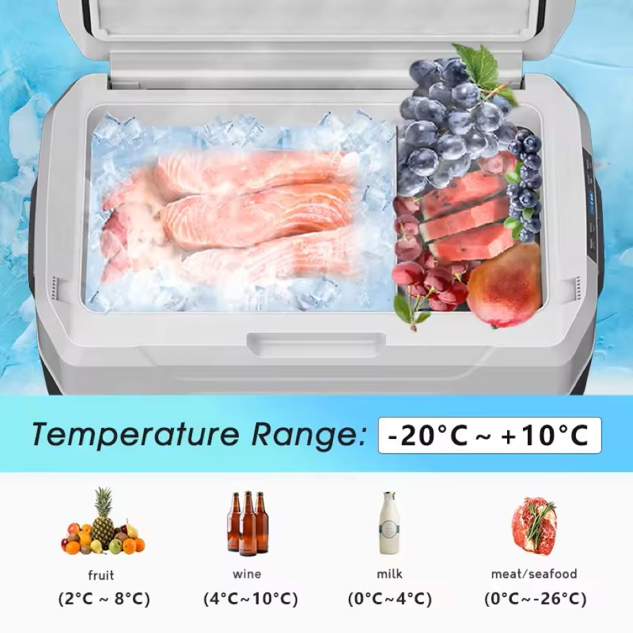 Odm 20l Single Temperature Control -20+10 Degree Transporting Mini ...