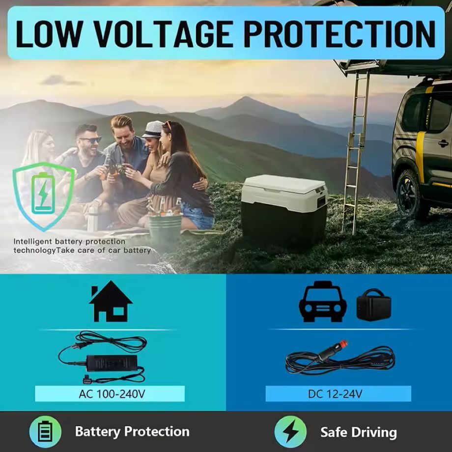 Odm 20l Single Temperature Control -20+10 Degree Transporting Mini ...