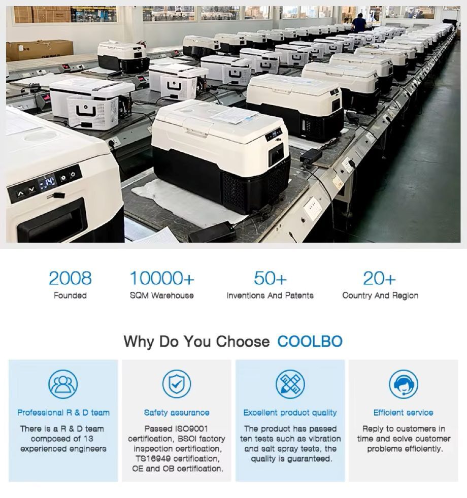 Odm 20l Single Temperature Control -20+10 Degree Transporting Mini ...