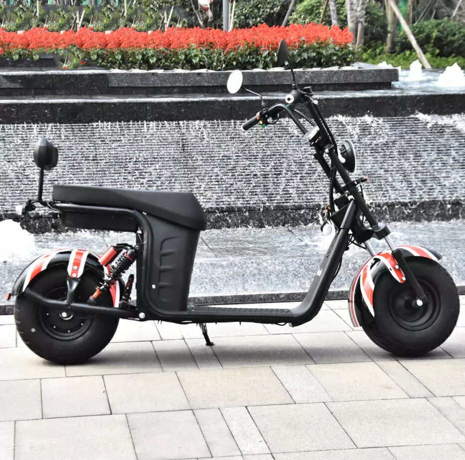 New Promotional Various Citycoco Newest Design 18*9.5 Inch 2 Wheel Hal ...