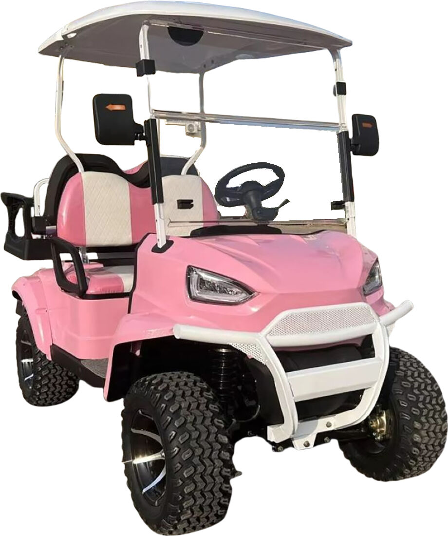 Most Popular Golf Cart Legal Street Golf Cart Off-road Buggy $3000 ...