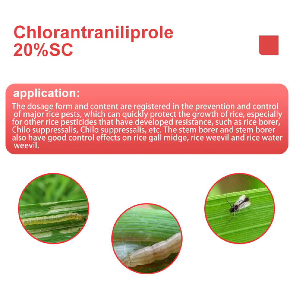 Pesticides Chlorantraniliprole 30% Sc Pests Control Insecticide In Agriculture - Buy China ...