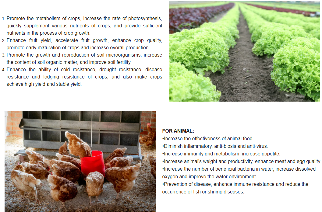 Chicken Feed Addtitives 100% Brand New Supplements For Animal Feed ...