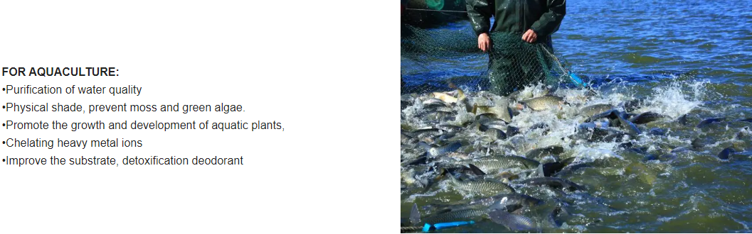 Chicken Feed Addtitives 100% Brand New Supplements For Animal Feed ...