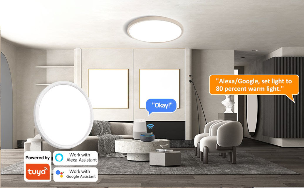 Tuya Wifi Smart Wireless 110v 220v Dimmable Rgb Rgbcw Led Ceiling Light ...