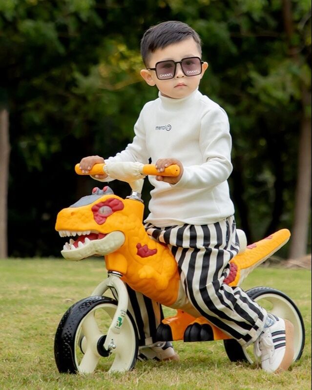 Sw20x China Hebei New Style Model Kids Swing Car/factory Wholesale ...