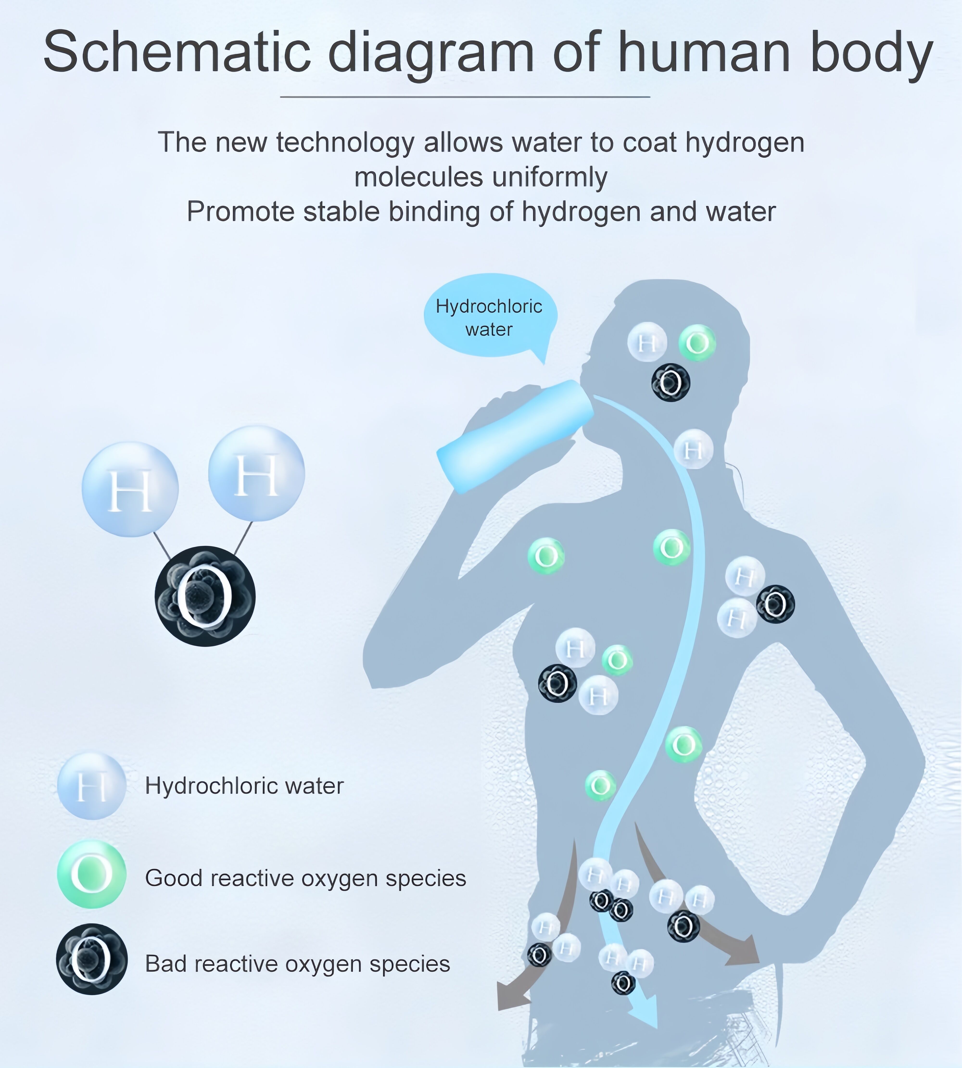 China Factory 9800ppb High Concentration H2 Hydrogen Water Bottle For ...