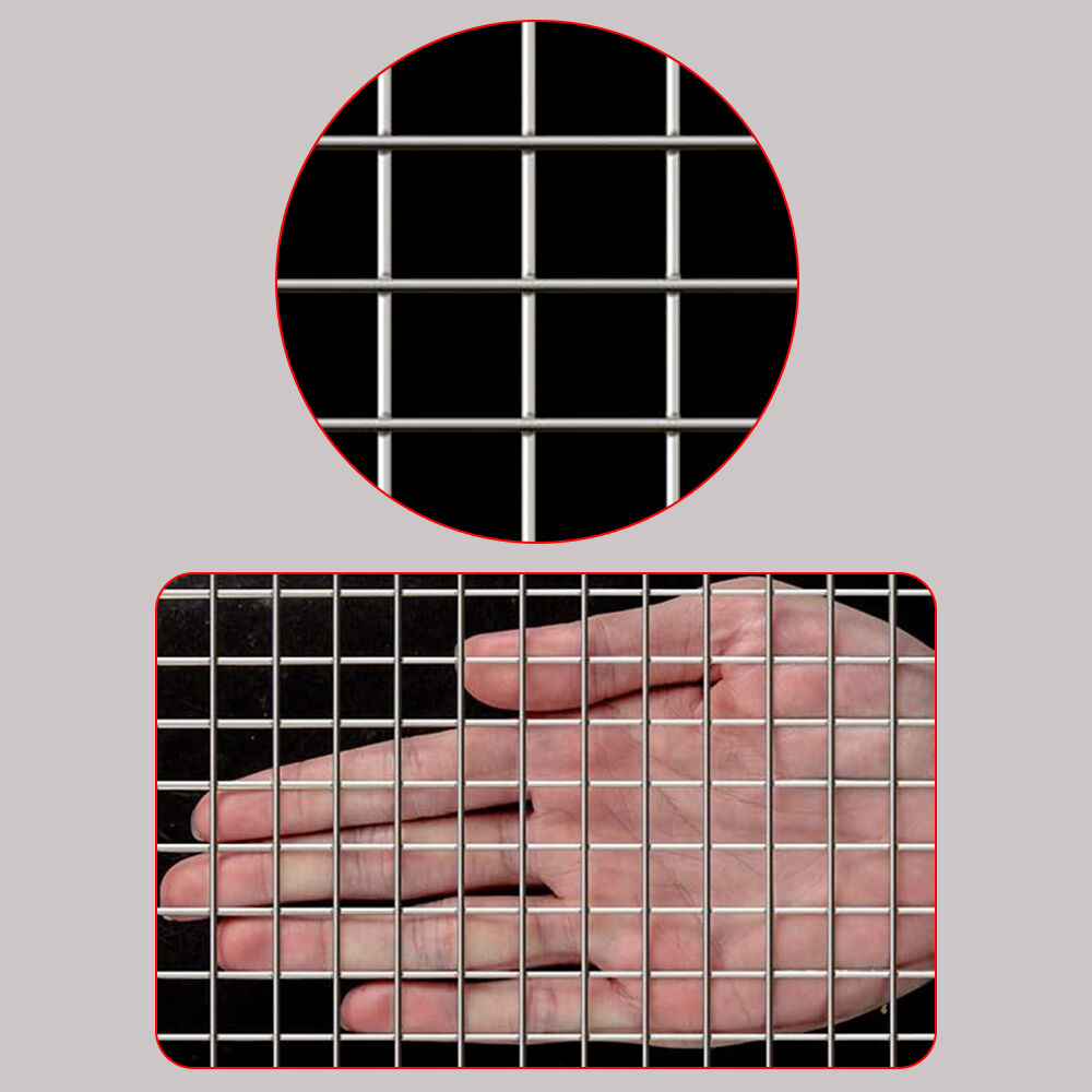 Versatile Galvanized Welded Wire Mesh Roll Home Garden Rust Resistant ...