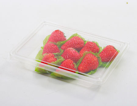 Biodegradable Pet Food Grade Disposable Meat Container Plastic ...