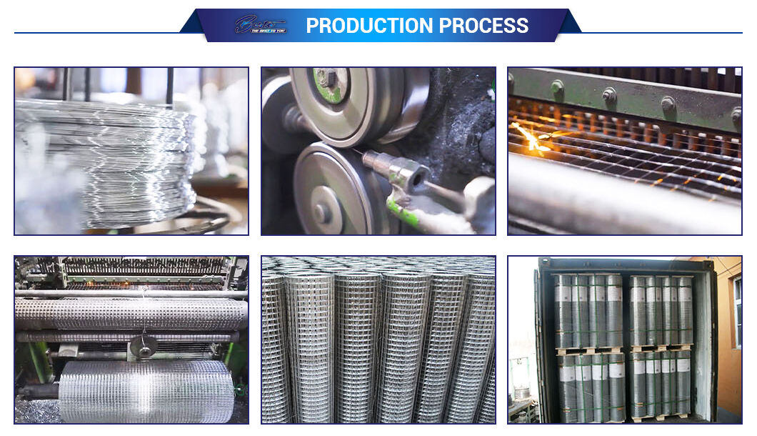 Customizable Pvc Coated Welded Wire Mesh Rolls - Heavy-duty Mesh For ...