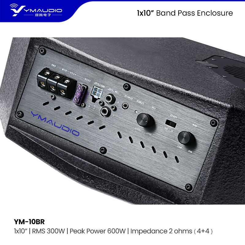 10" Inch Passive Enclosure Polygon Car Audio Speaker 300w Bass Reflex ...
