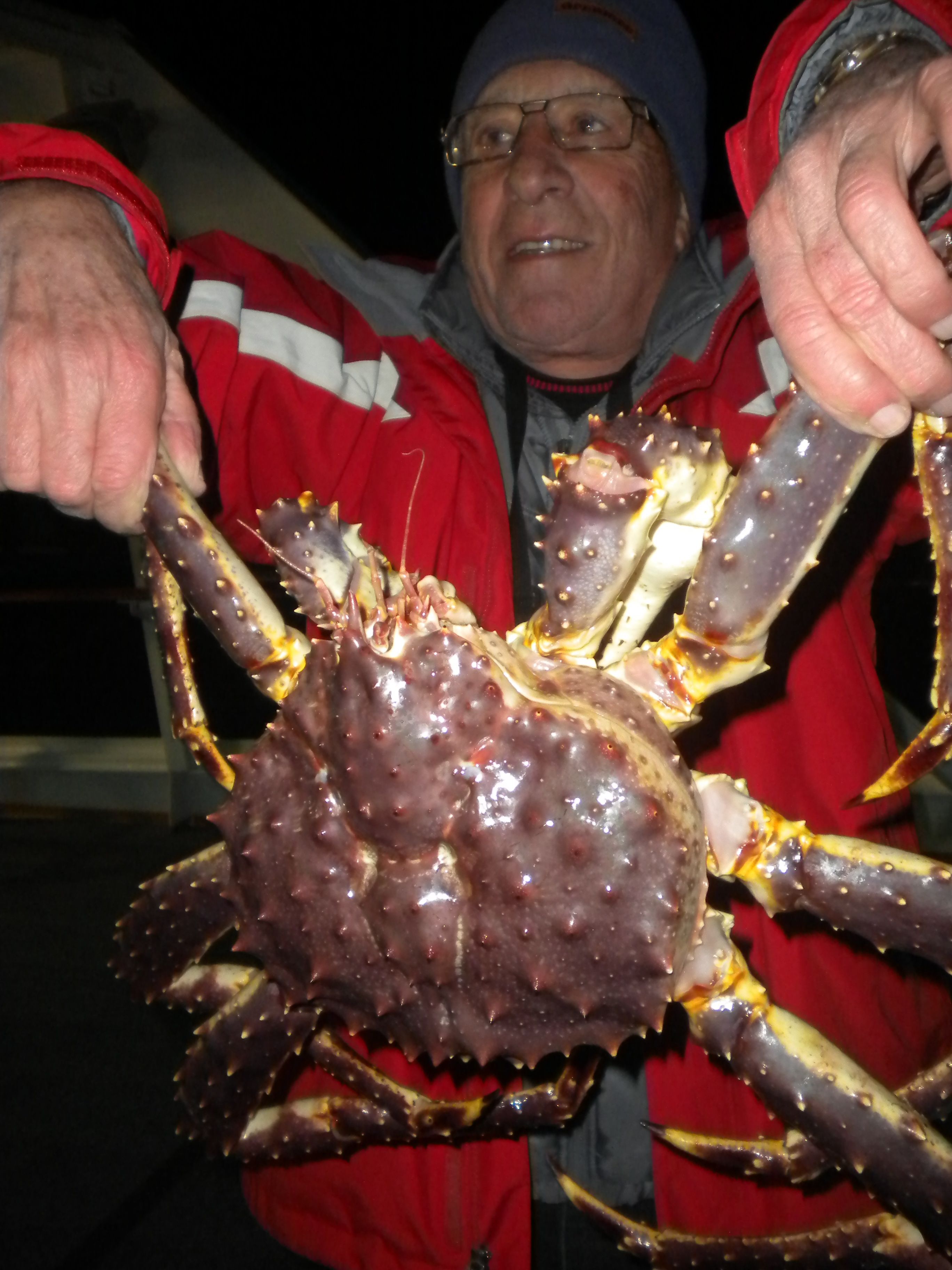 Bulk Buy United States Wholesale Norwegian Red King Crab; Live Whole ...