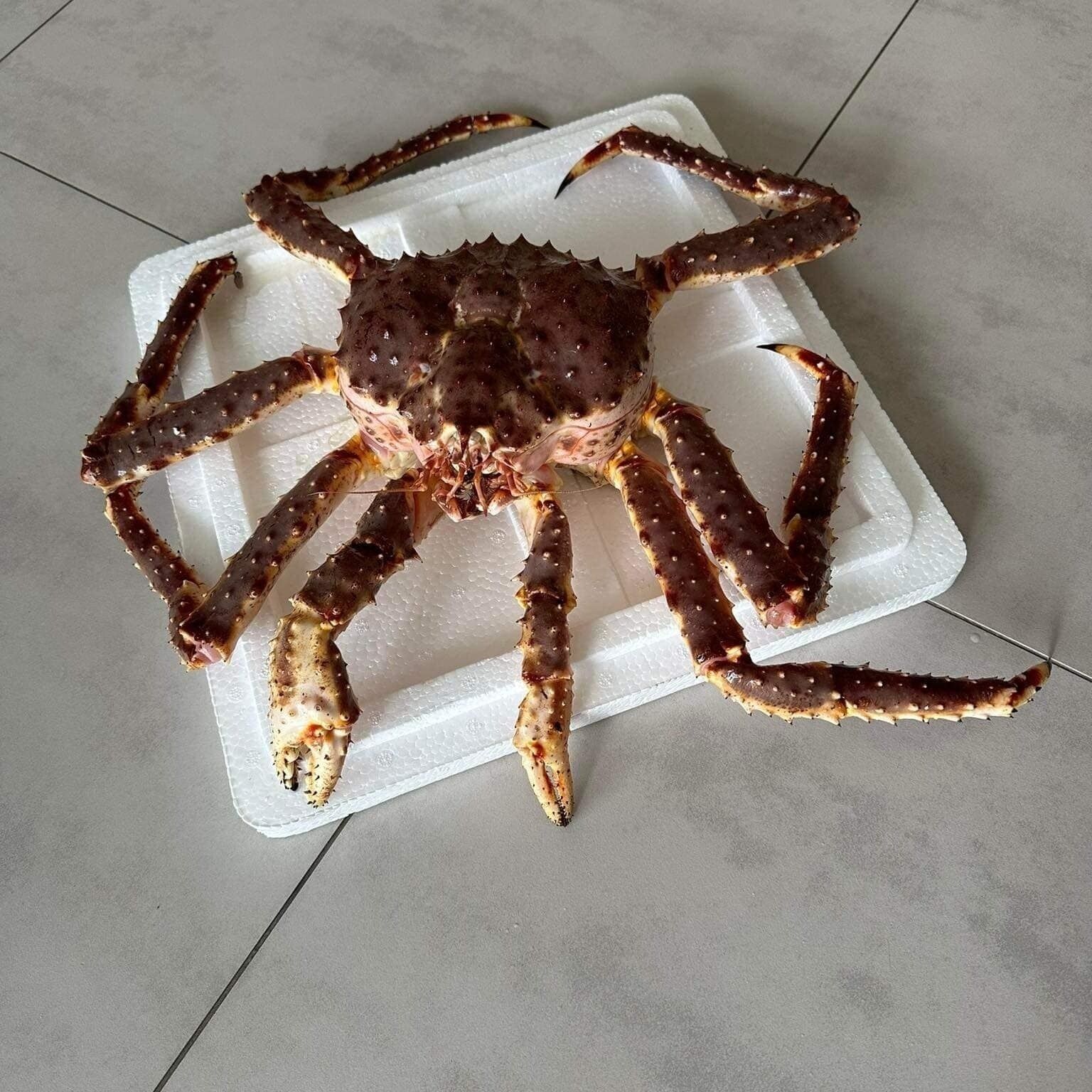 Buy United States Wholesale Alaskan King Crab - Worlwide Shipping ...