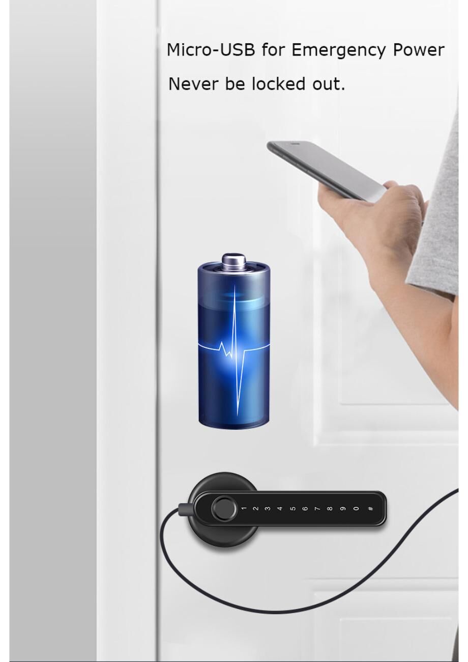 Innovative Tuya Wifi Smart Handle Wood Door Lock Custom Knob Cylinder ...