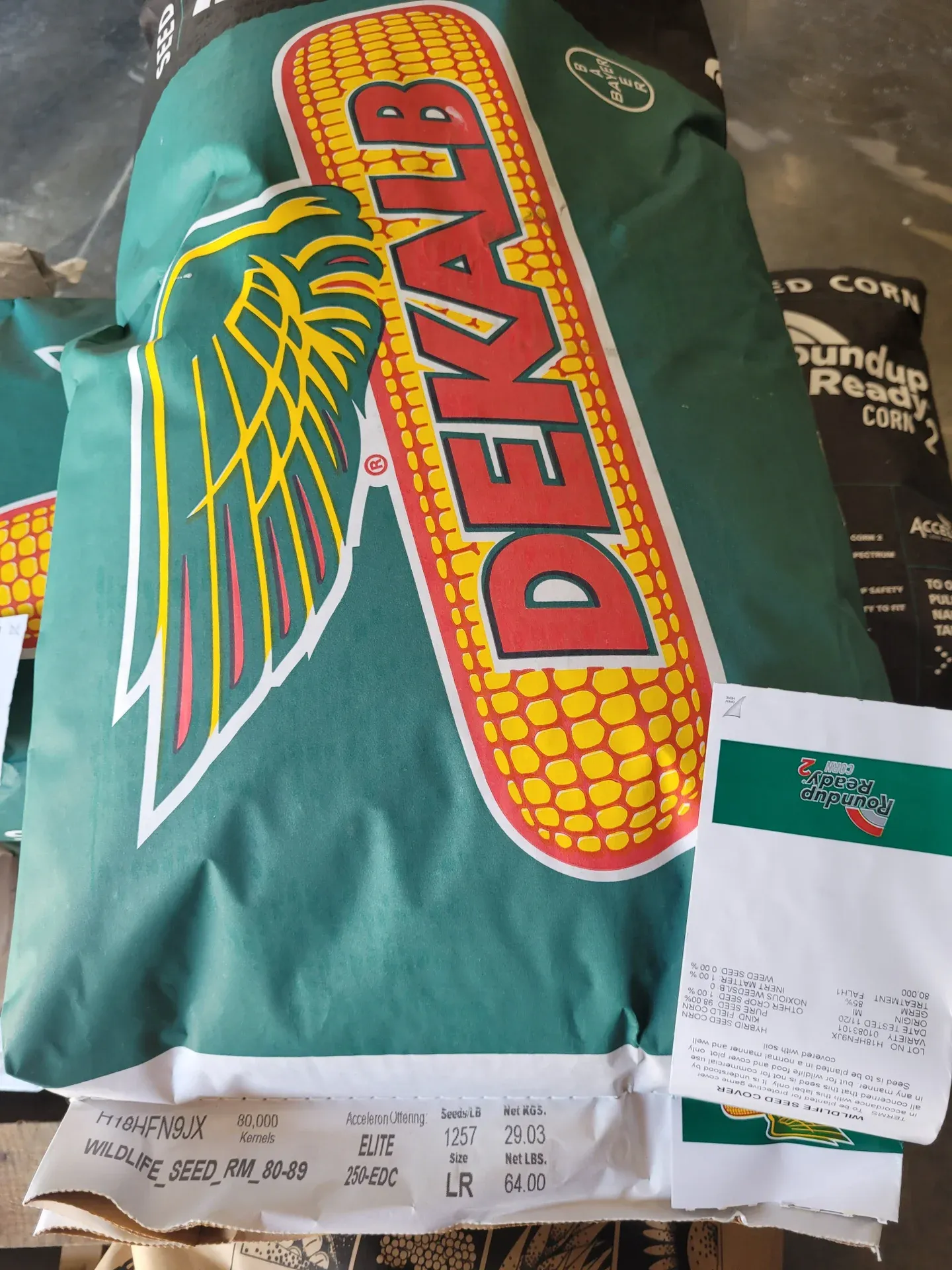 Dekalb Dkc35-88 Rib Corn - France Wholesale Dekalb Dkc35-88 Rib Corn ...
