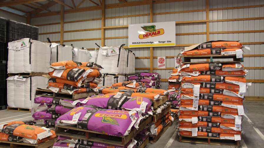 Dekalb Dkc35-88 Rib Corn - France Wholesale Dekalb Dkc35-88 Rib Corn ...