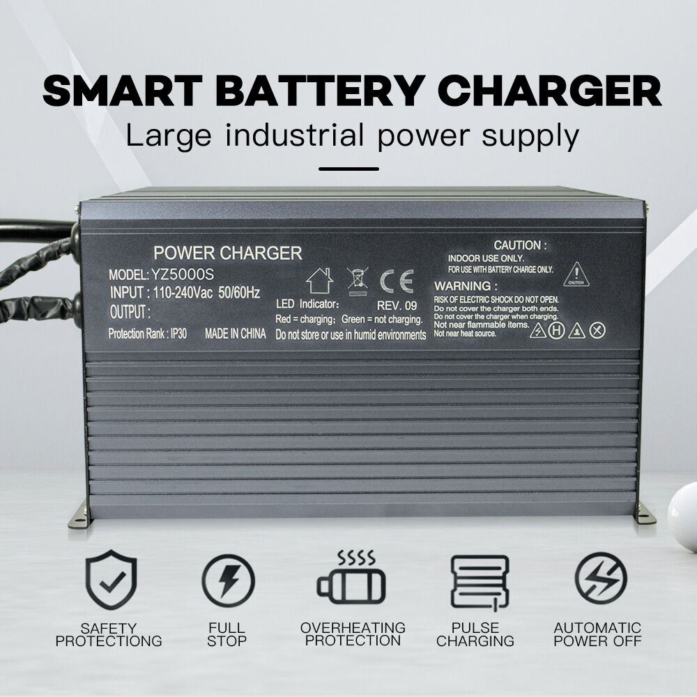 4500w Customizable High Power Charger 12.6v240a Lithium Battery Charger ...