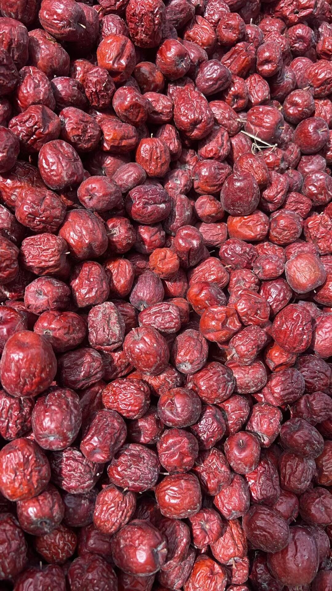 China Newest Wholesale Dried Red Round Jujubes Factory Price For Export ...