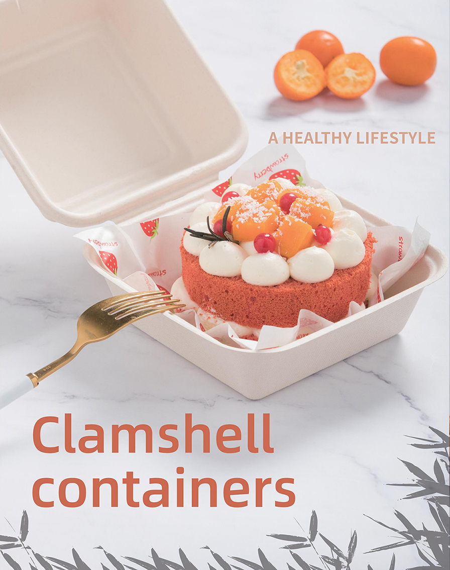 Disposable Food Packaging Container Bagasse Sugarcane Moulded Take-away ...