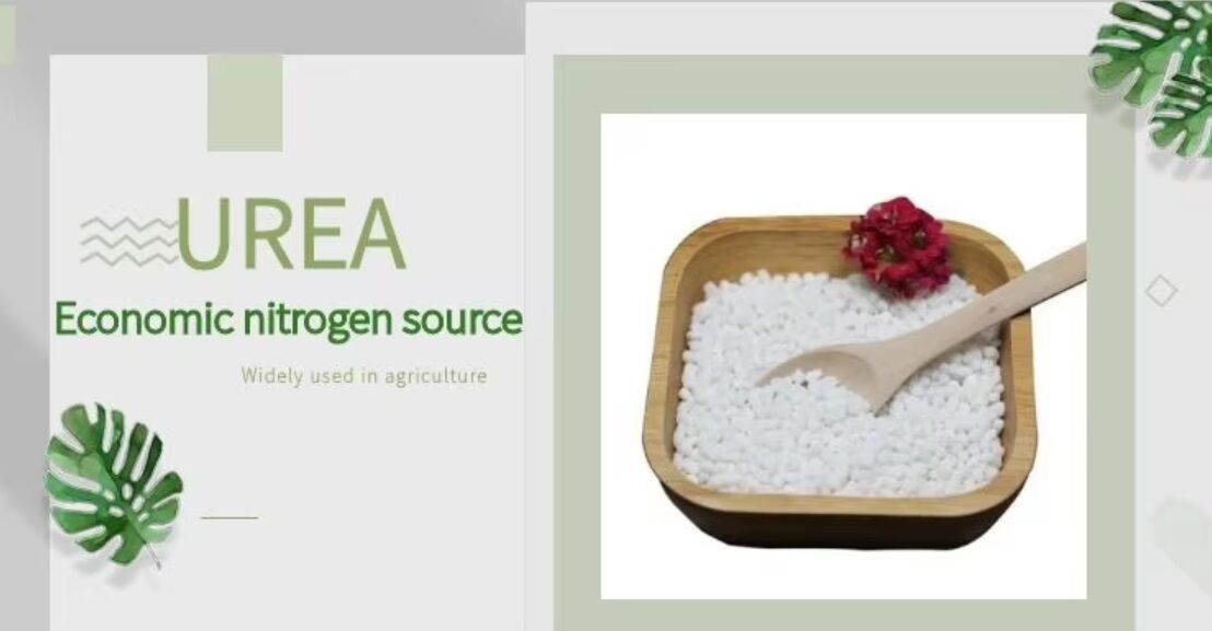 Wholesale Urea N46 Fertilizer Granular Prilled Price 50kg Bag - United ...