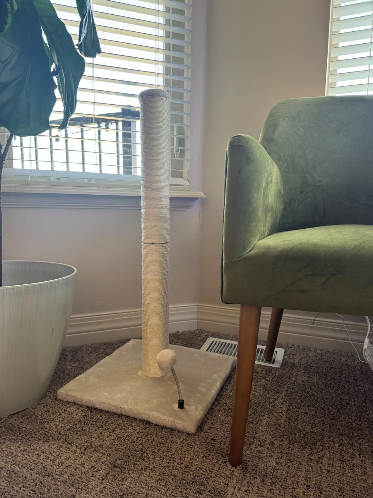 34” Tall Cat Scratching Post Premium Basics Kitten Scratcher Sisal ...