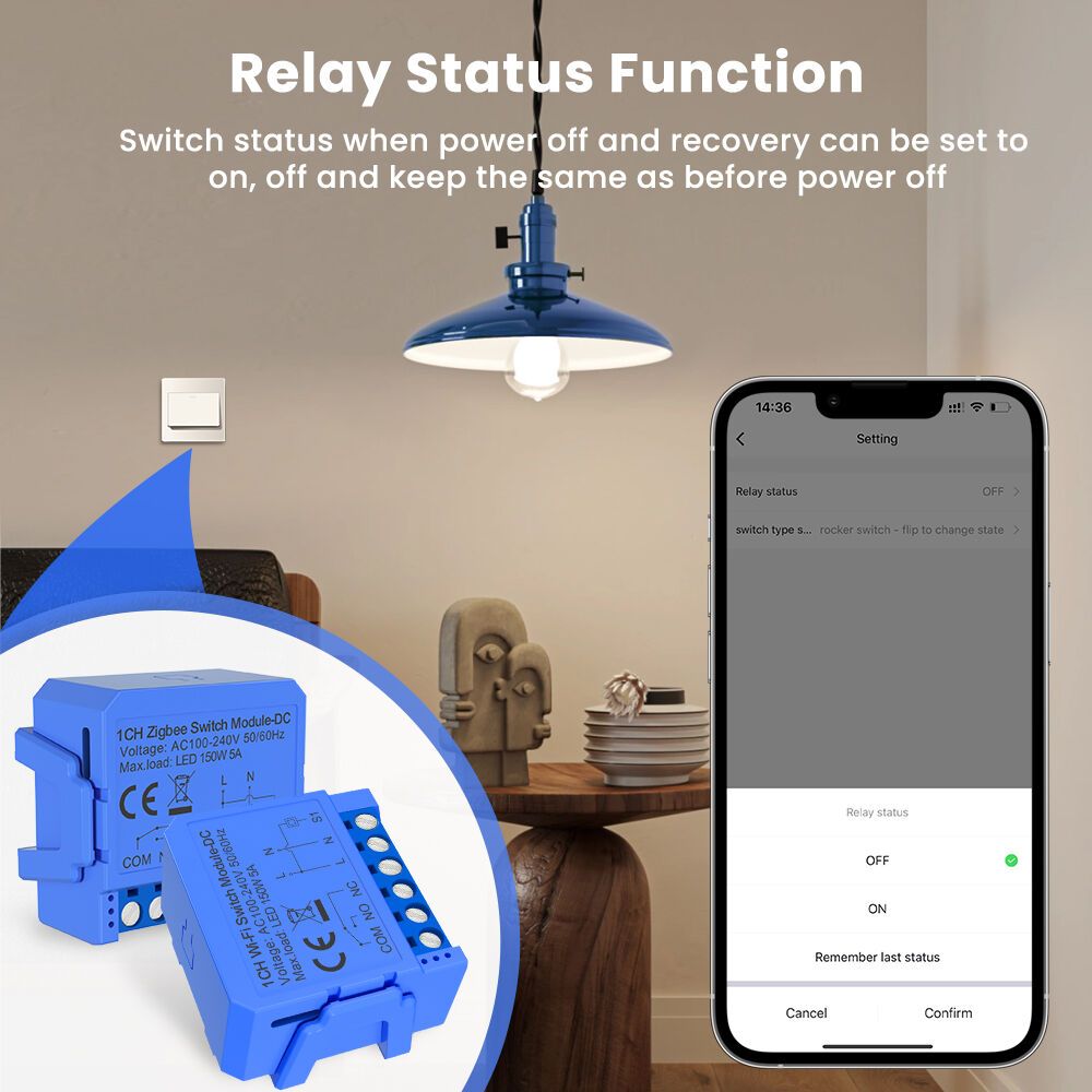 Avatto Tuya Diy Mini Wi-fi Zigbee Alexa Google Tuya Homekit App Remote ...