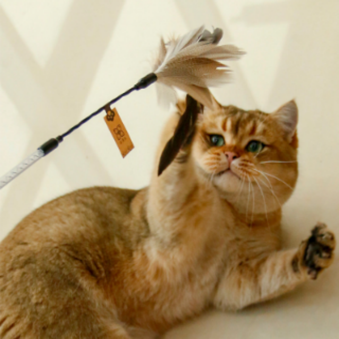Extended Version Original Ecological Feather Cat Teaser Stick With ...