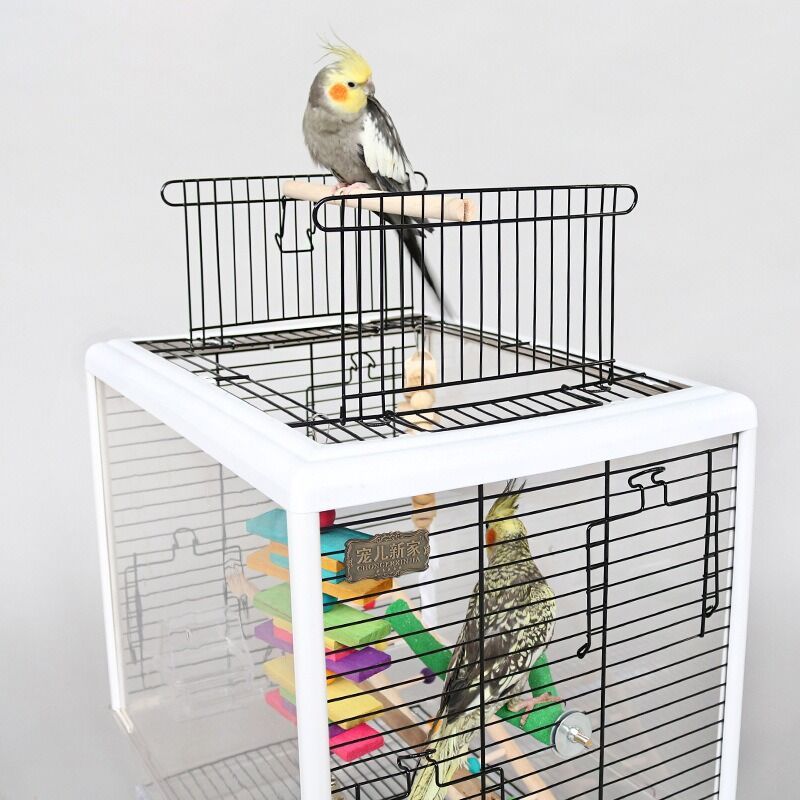 Factory Direct High Quality China Wholesale Best Selling Metal Bird ...
