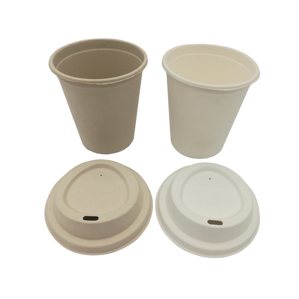 White Biodegradable Disposable Take Away Drink Cup 12 Oz Sugarcane ...