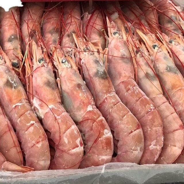 Buy United States Wholesale Vannamies Shrimp/ Frozen Red Prawns Frozen ...