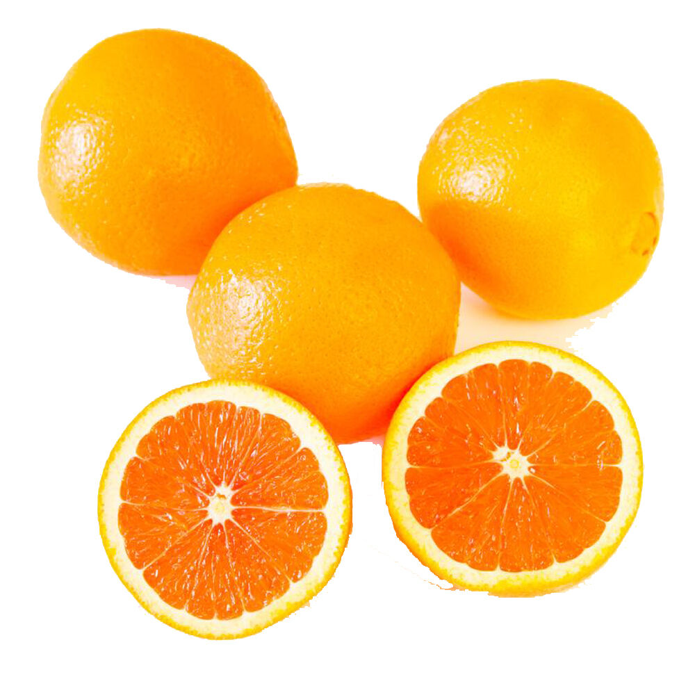 For Sale Wholesale Delicious Sweet For Sale Orange Oranges Fresh Orange ...
