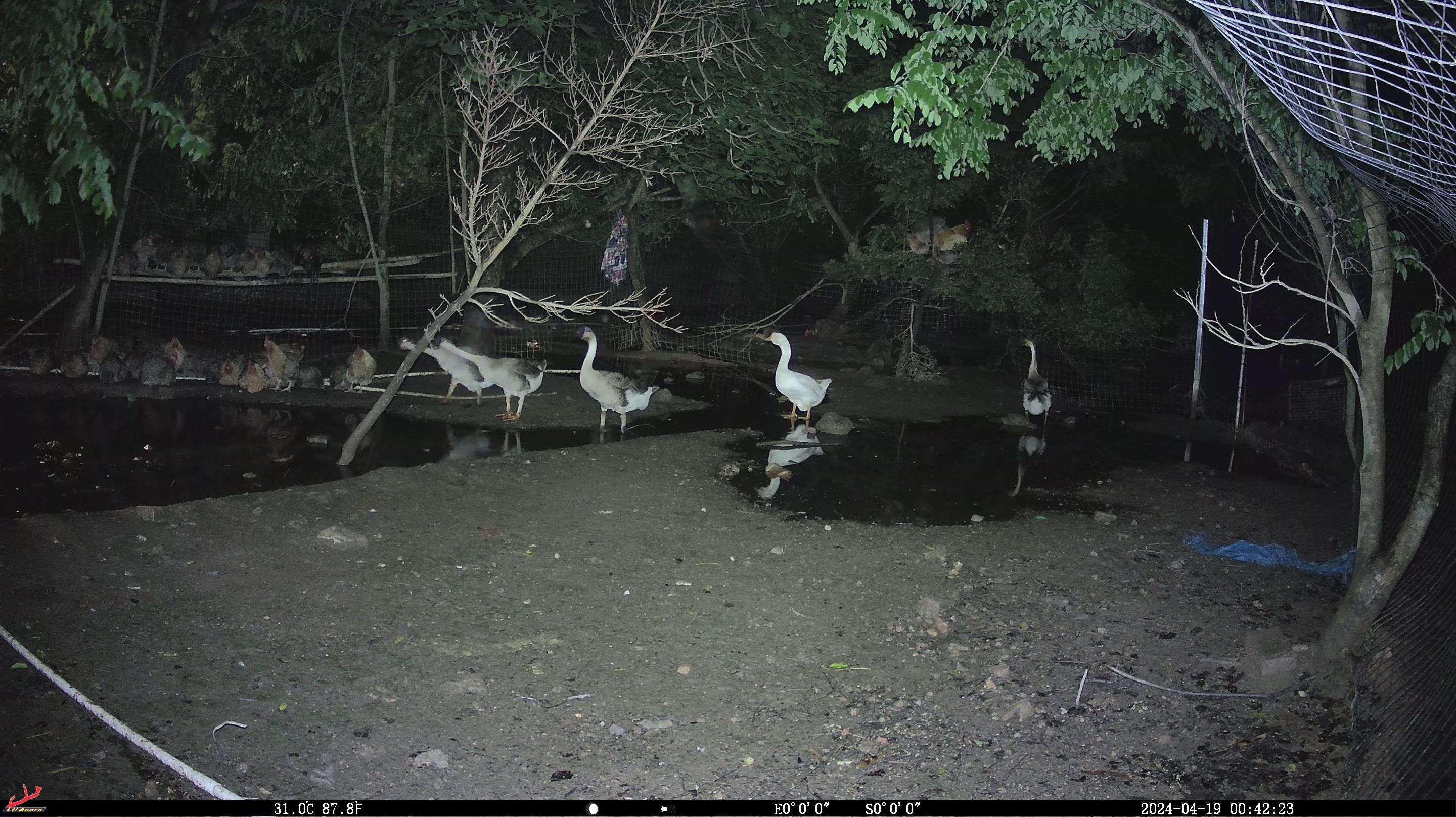 Bulk Buy China Wholesale 6210 Ultra 3k Uhd Video Ir Hunting Trail ...