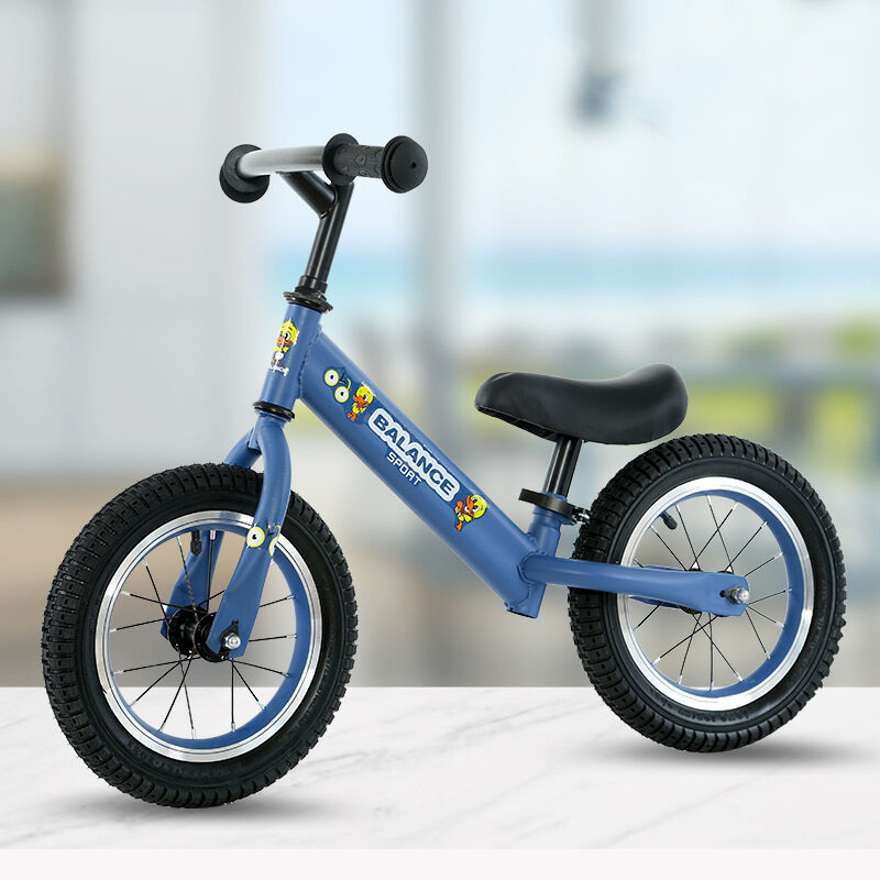 Rhs-blc15 Baby Balance Bike For 1-2 Year Old Boy/girl 13 Inch Kids ...