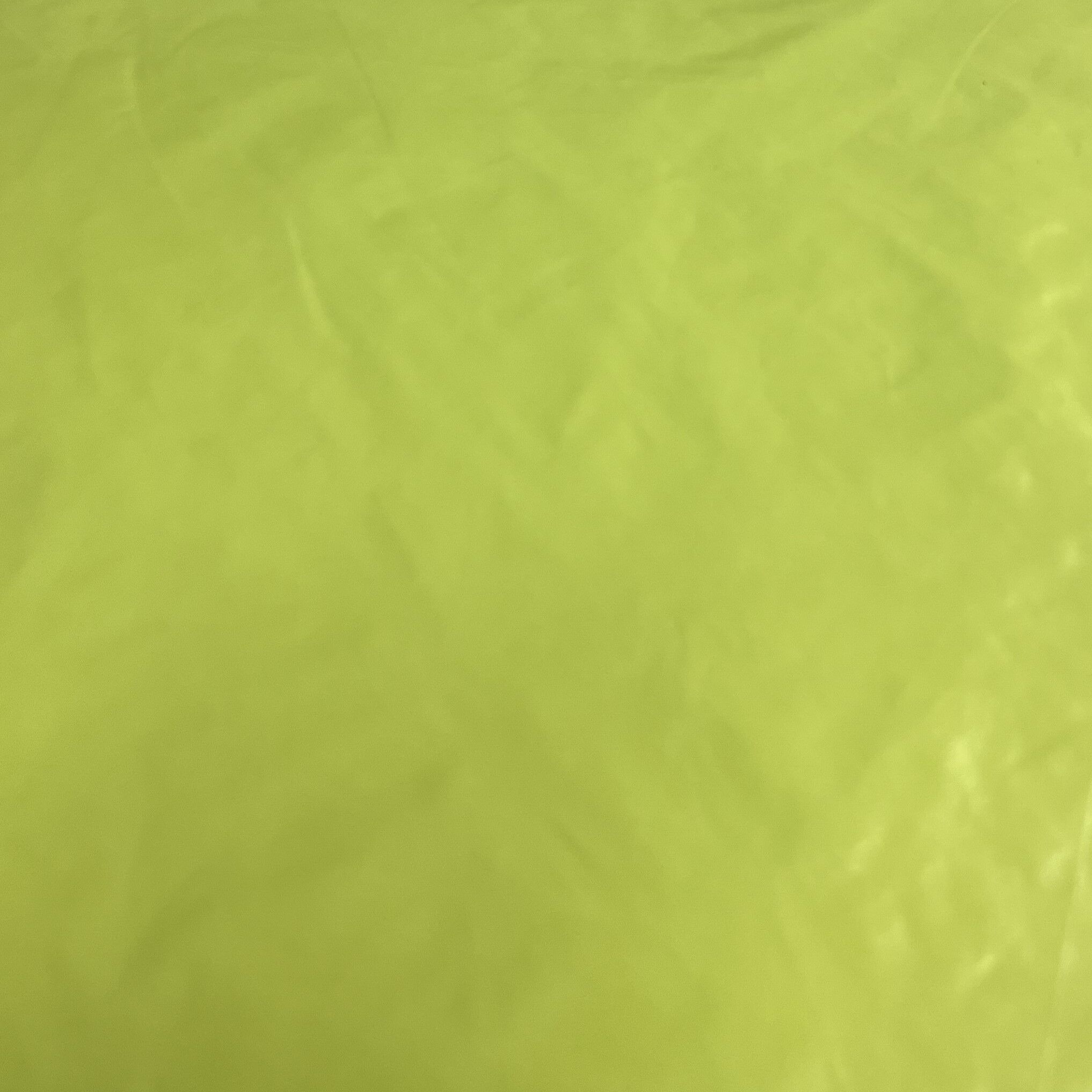 Bright Double Nylon 66 Fabric For Down Jacket，sportswear，clothes ...