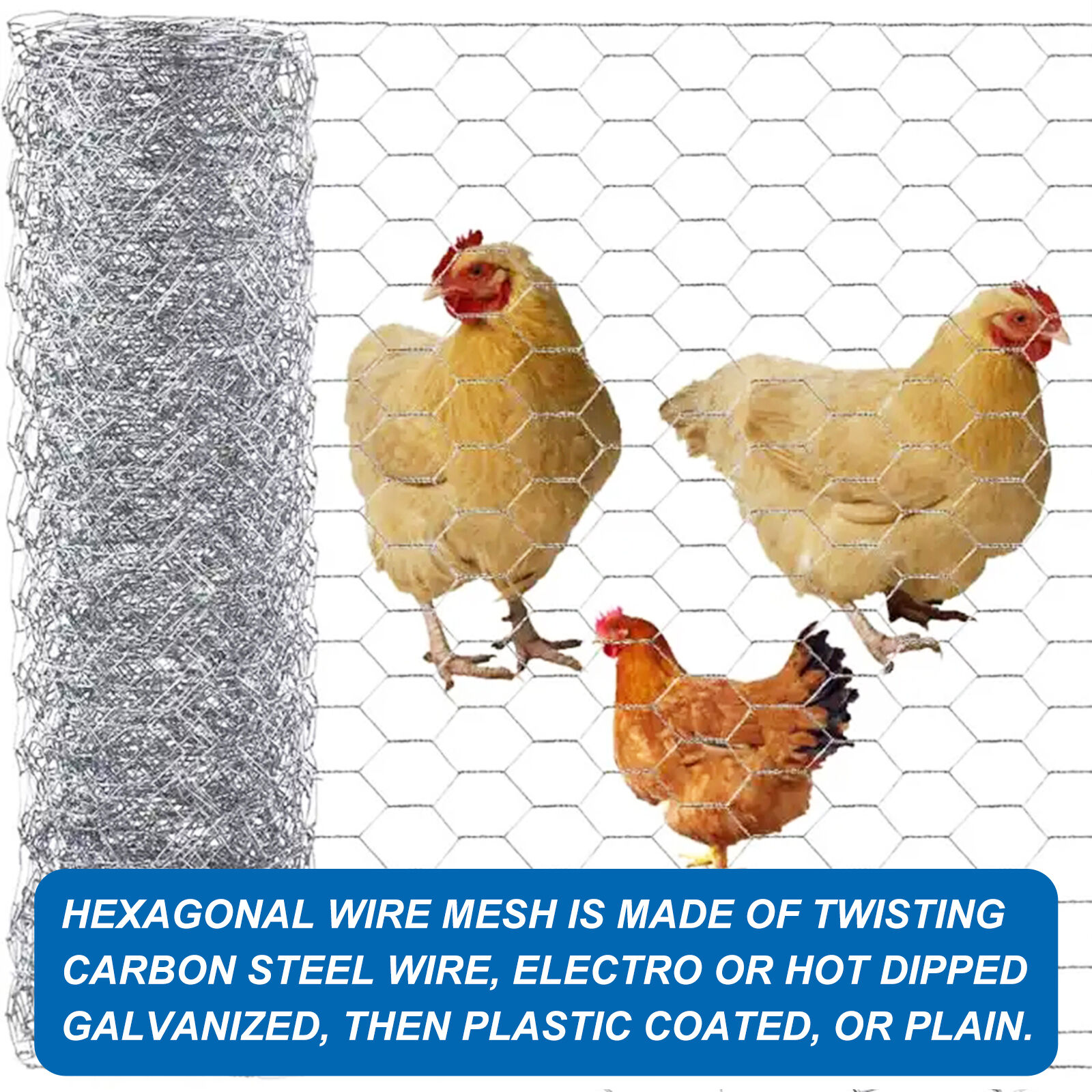 Factory Direct High Quality China Wholesale Galvanized Chicken Wire ...