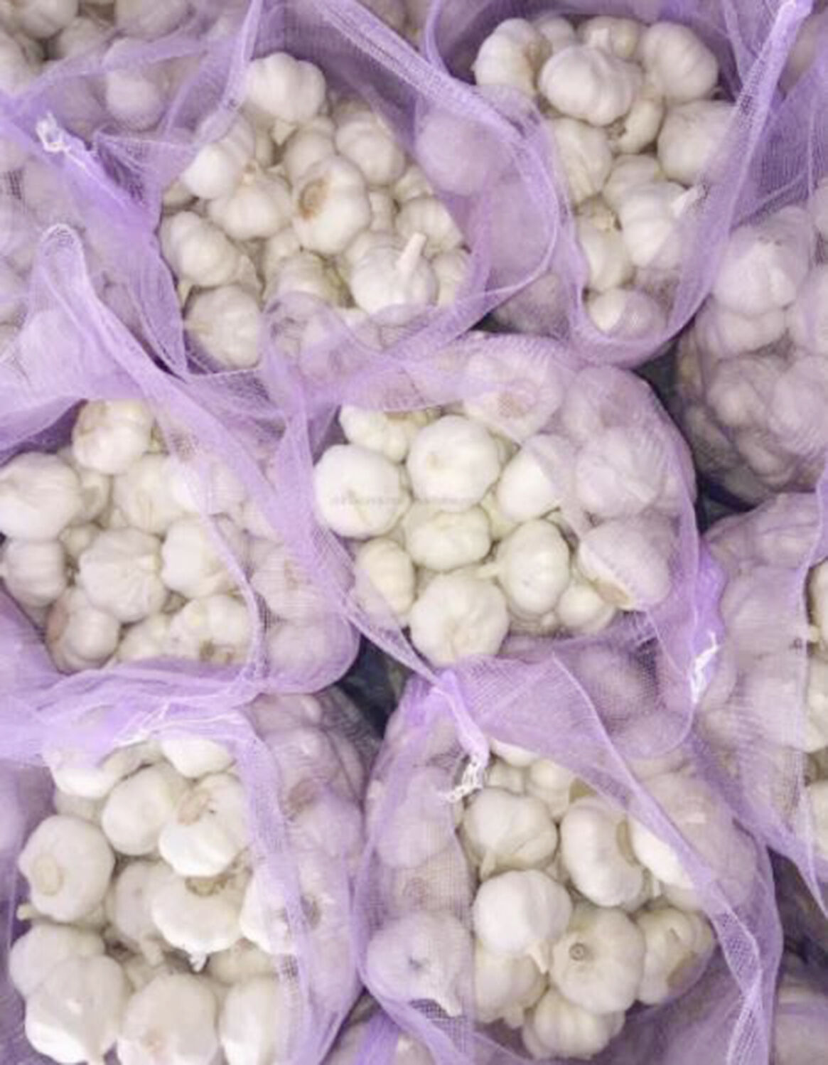 High Quality Fresh Garlic , Fresh ,juicy, Spicy ，size：5.0-6.5 Cm，peeled ...
