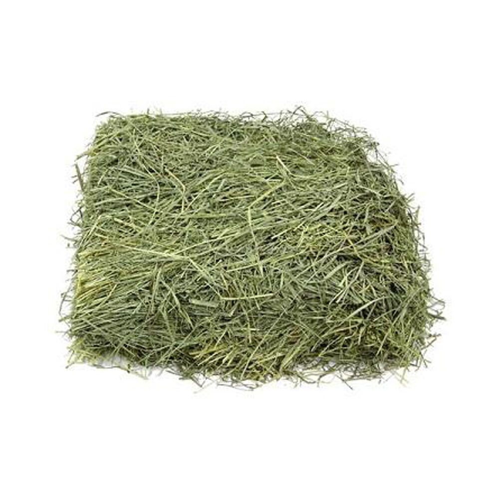 Buy Thailand Wholesale Higher Protein Alfalfa Hay/timothy Hay For Sale ...