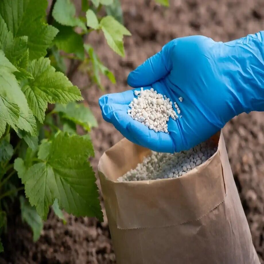 Buy France Wholesale All Fertilizer Brand Fertilizer Agricultural Npk ...