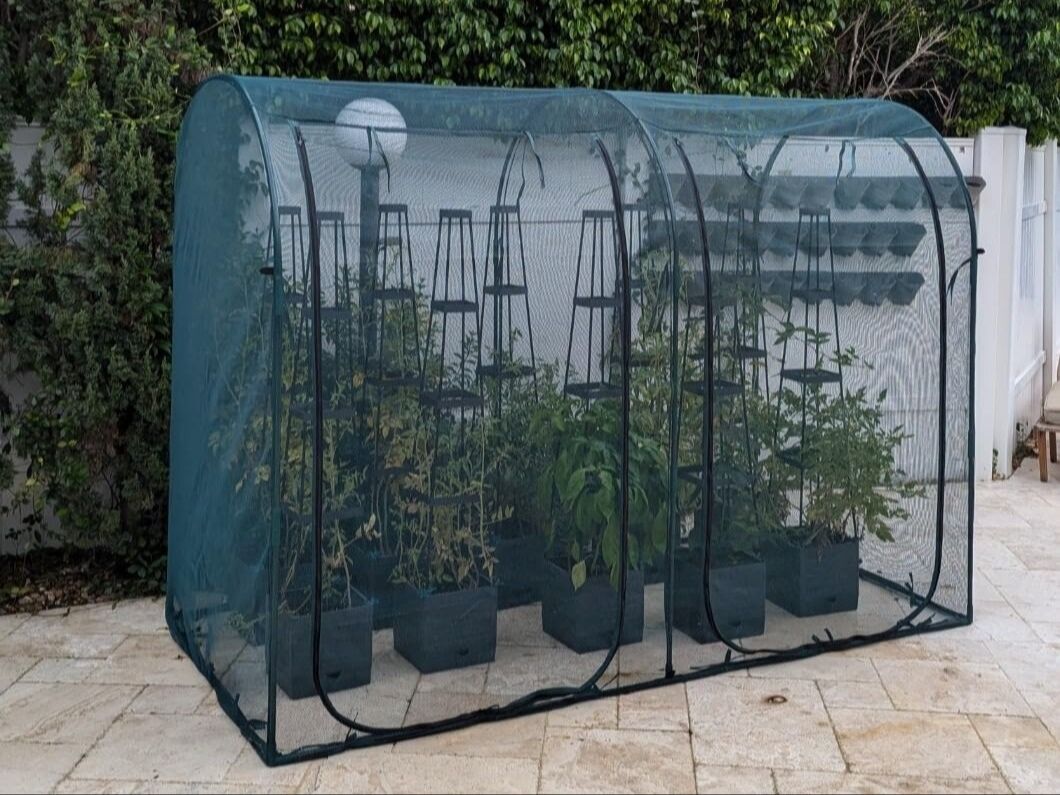 10ftx6ft Plant Netting Cover, 6ft Tall Crop Cage Tomato Netting,pest ...