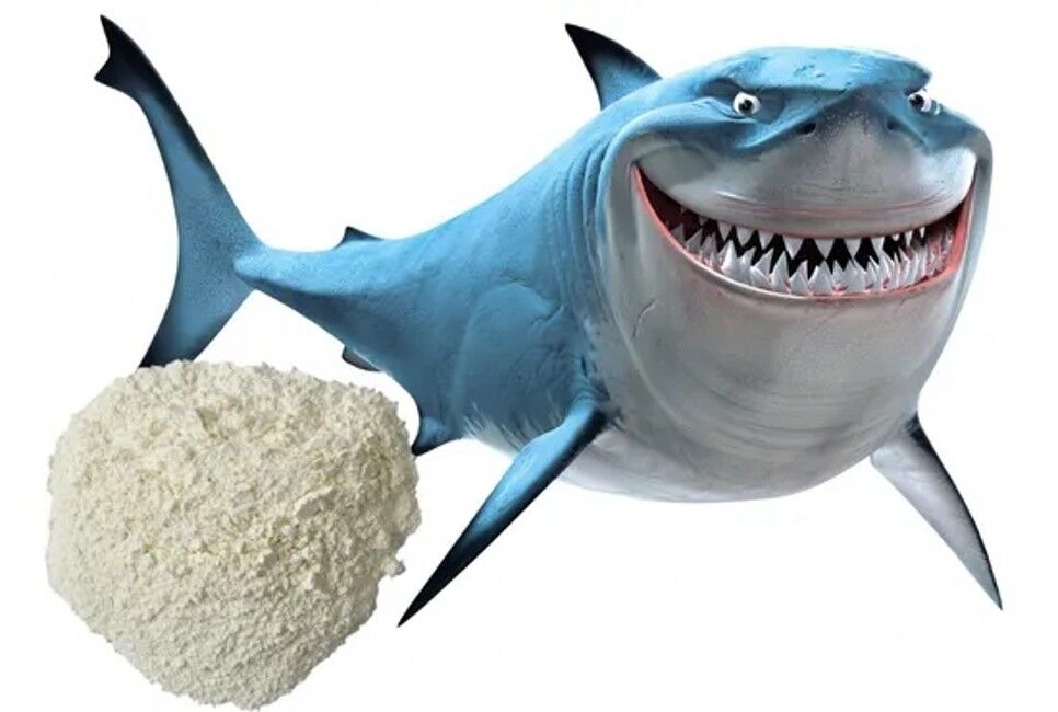 Common Shark Cartilage Extract Powder Low Price - Buy China Wholesale ...