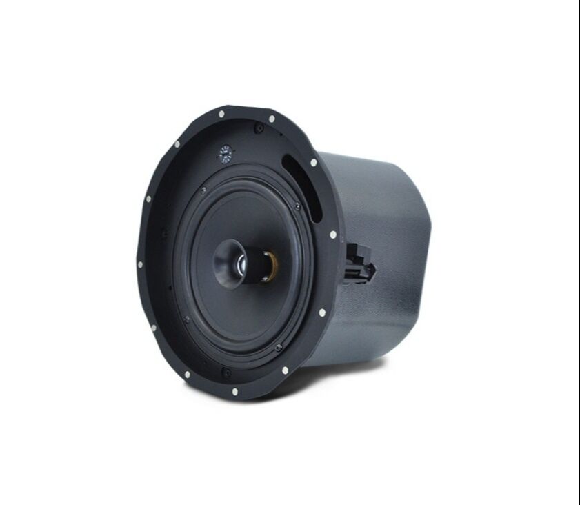 Factory Direct High Quality China Wholesale Cv880t 8 Inch Passive ...