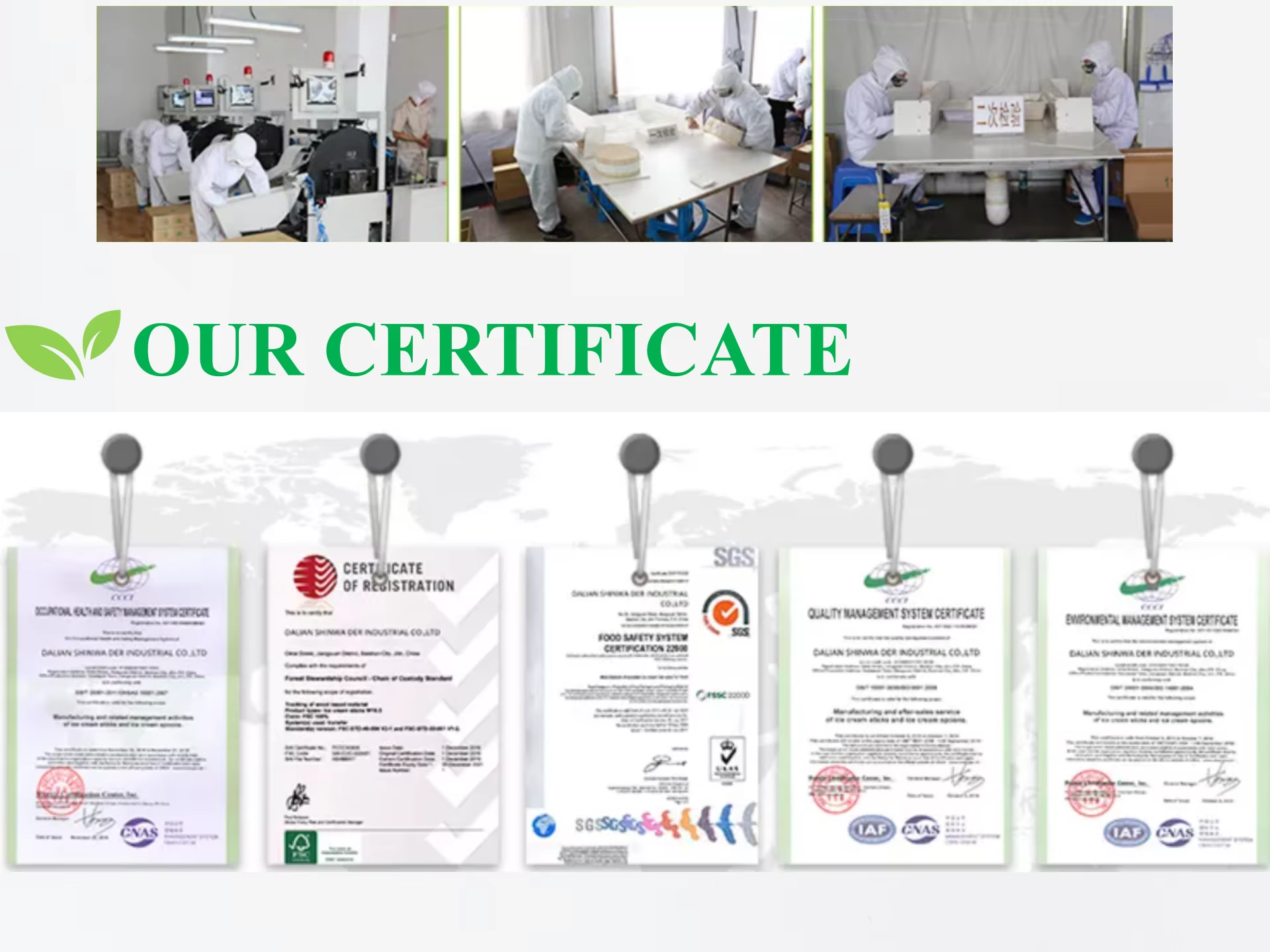 Biodegradable Customized Design Private Label Bulk Craft Popsicle Ice ...