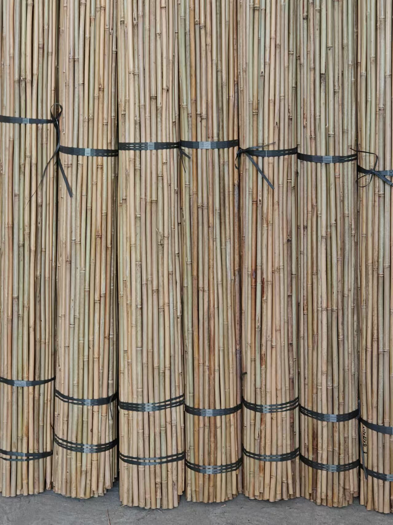 Bamboo Stakes 60x0608 For Plants, Natural Bamboo Plants Stakes, Garden ...